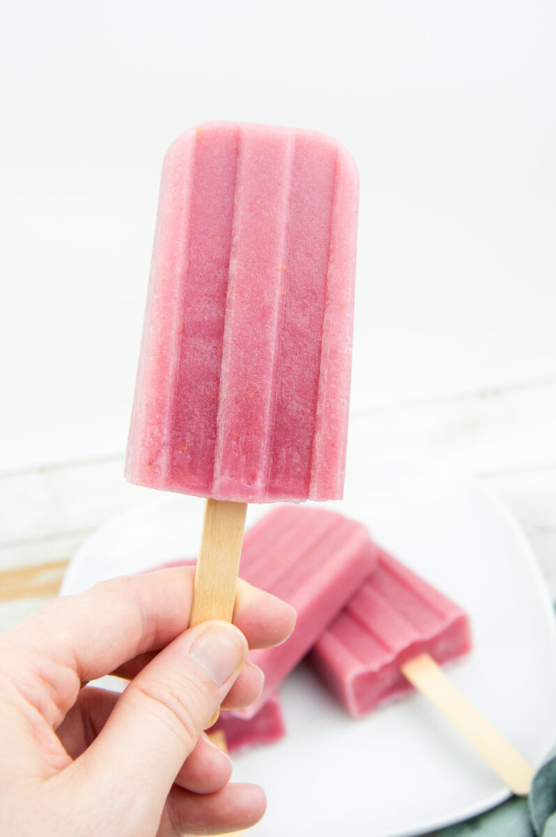 Vegan Raspberry Popsicles Recipe | Elephantastic Vegan