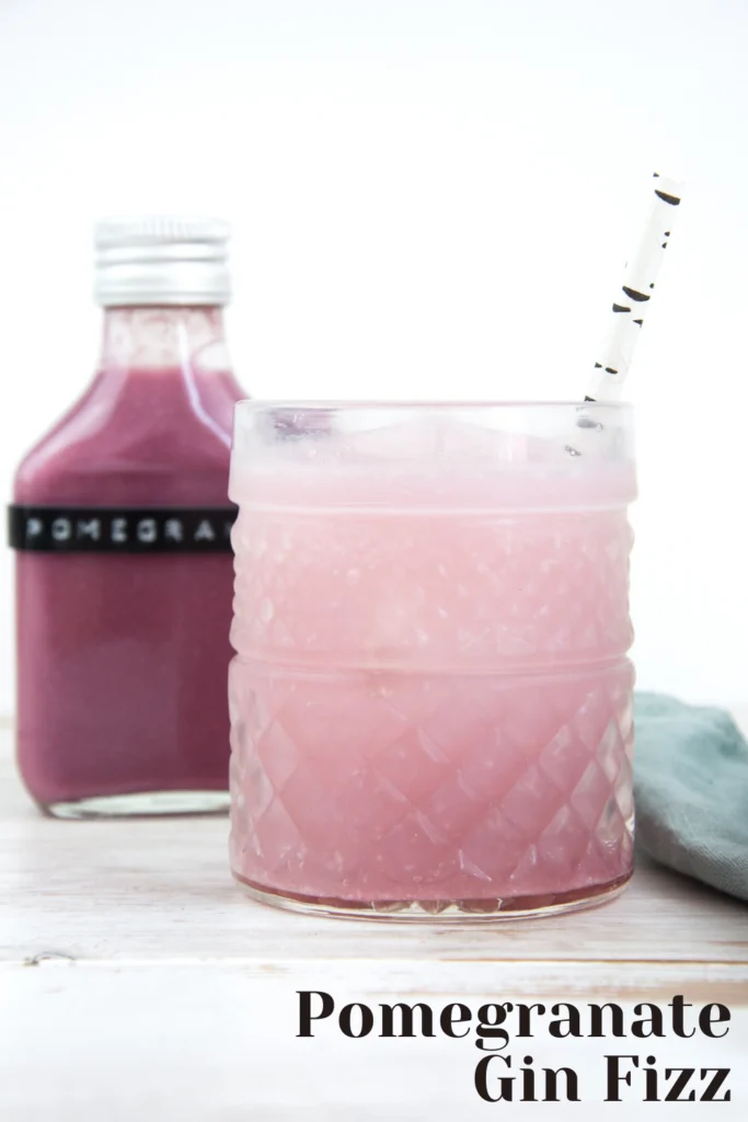 Pomegranate Gin Fizz Recipe | Elephantastic Vegan