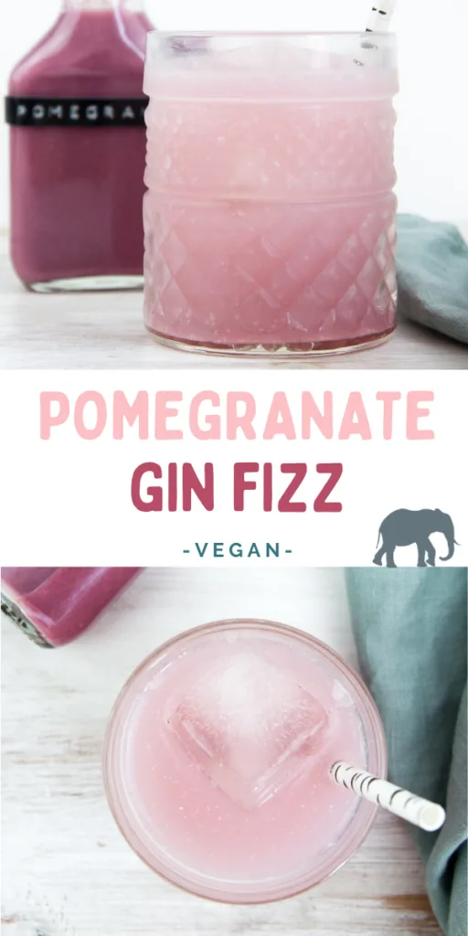Pomegranate Gin Fizz Recipe | Elephantastic Vegan