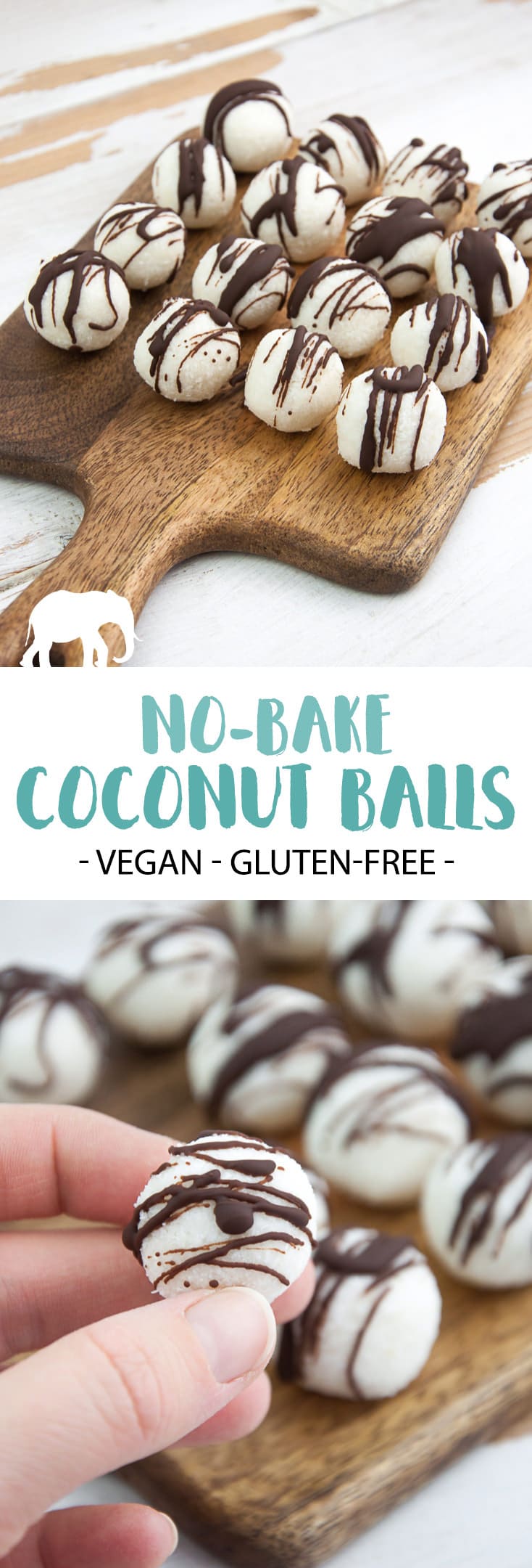 Vegan No-Bake Coconut Balls Recipe | Elephantastic Vegan