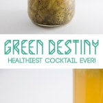 Green Destiny Cocktail Recipe | Elephantastic Vegan