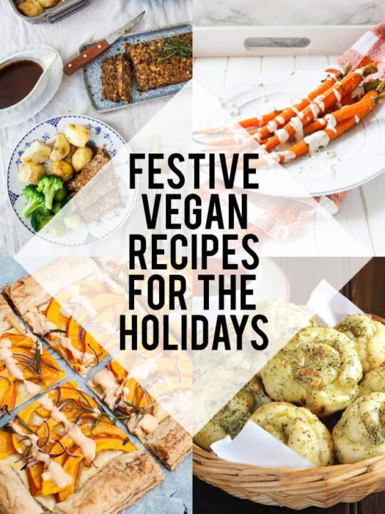 Festive Vegan Recipes for the Holidays (Thanksgiving and Christmas)