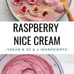 2-Ingredient Raspberry Nice Cream Recipe | Elephantastic Vegan