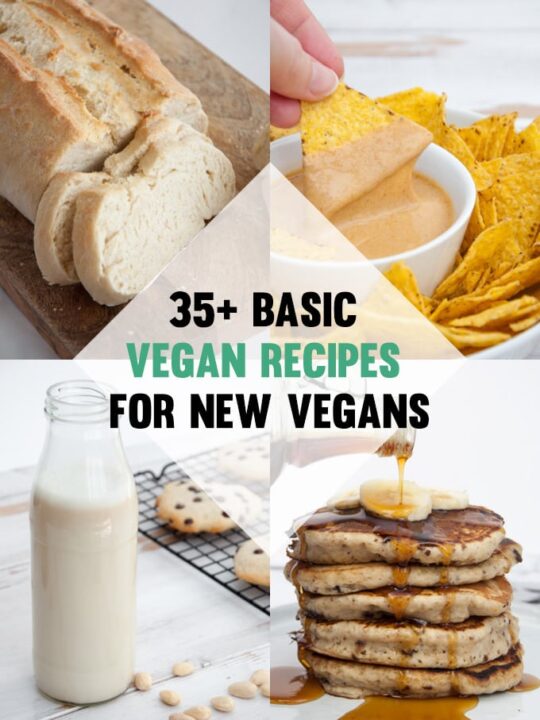 35 Basic Vegan Recipes for New Vegans! | Elephantastic Vegan
