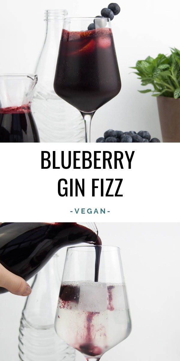 Blueberry Gin Fizz Recipe | Elephantastic Vegan
