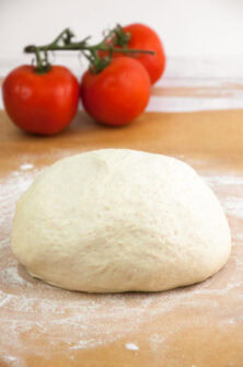 Basic Vegan Pizza Dough Recipe | Elephantastic Vegan