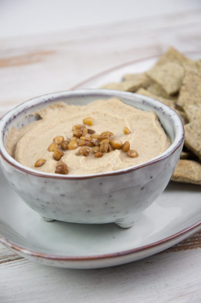 Lentil Hummus Recipe - Elephantastic Vegan