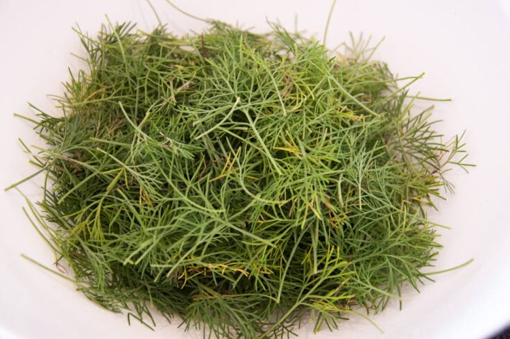 Natural Cola Syrup - Elephantastic Vegan