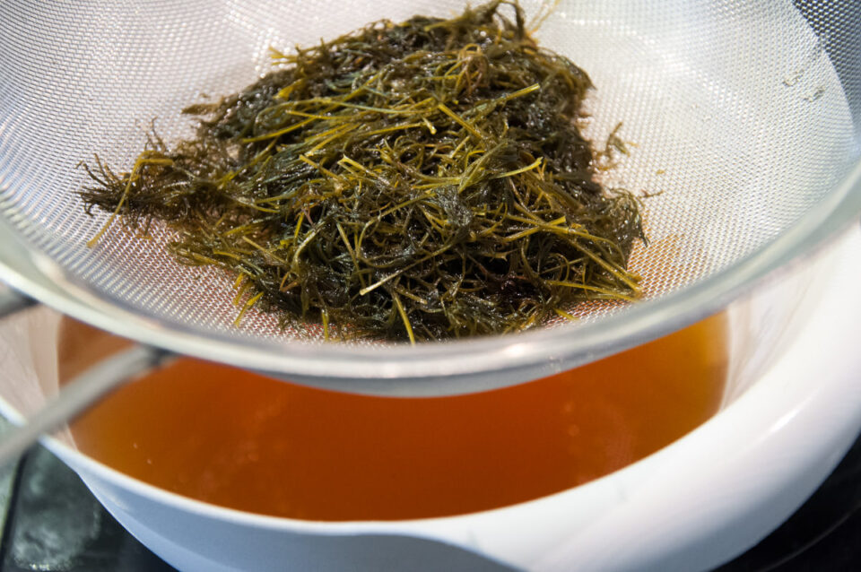 Natural Cola Syrup - Elephantastic Vegan